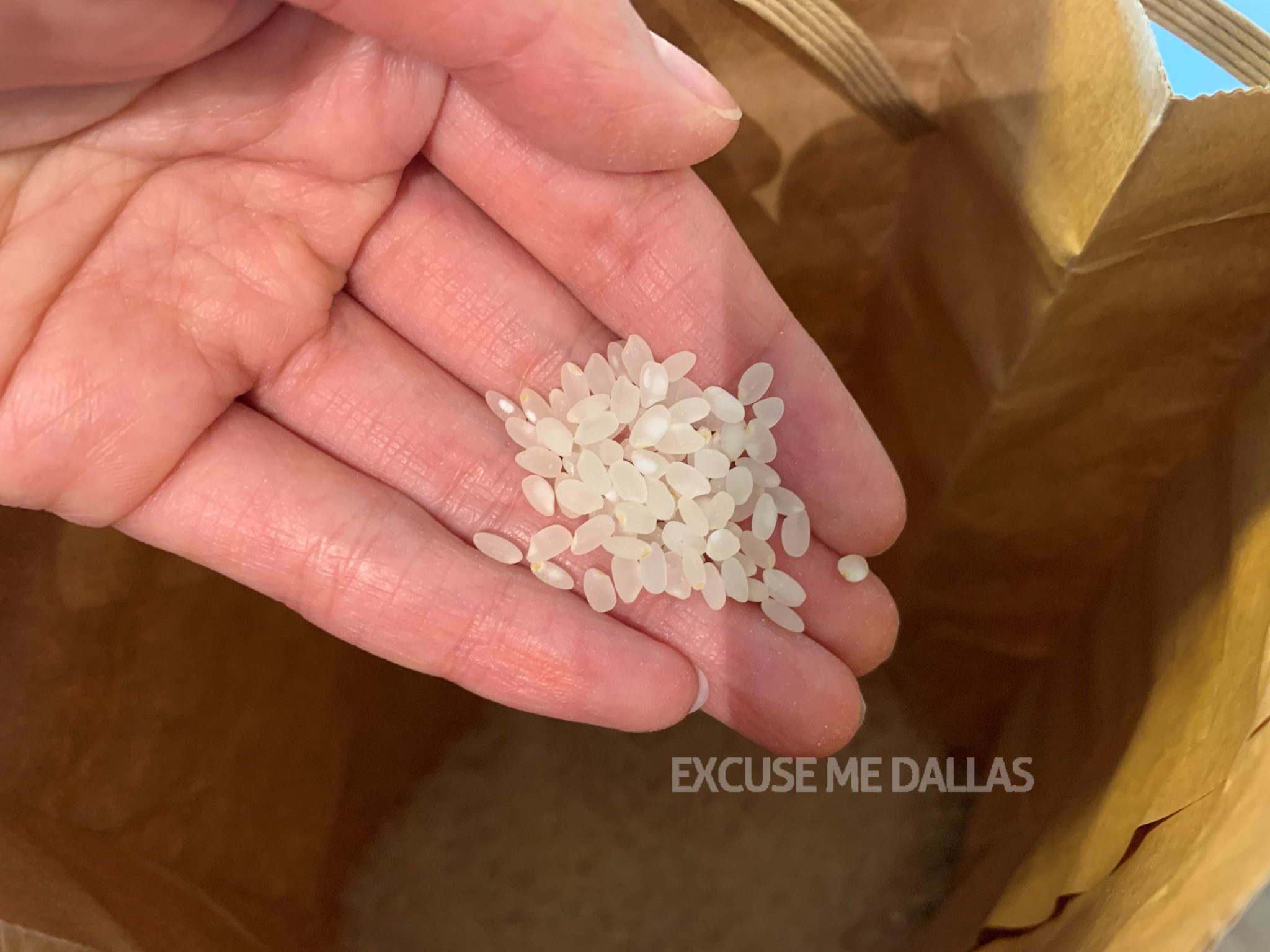 【The rice factory New York】アメリカで食べれるめっちゃおいしいお米！ | Excuse Me Dallas