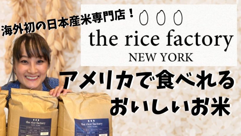 【The rice factory New York】アメリカで食べれるめっちゃおいしいお米！ | Excuse Me Dallas