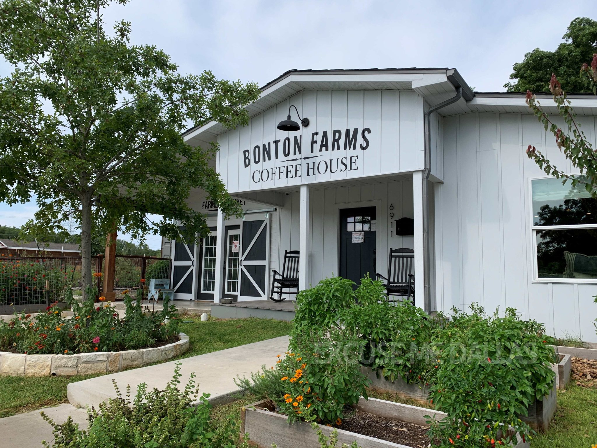 【Bonton Farms】自分でお野菜が採れるファーム | Excuse Me Dallas