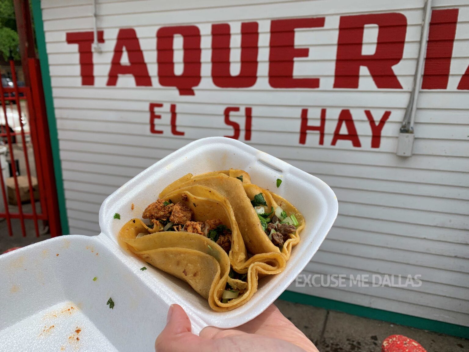 今まで食べた中で一番おいしいタコス！Taqueria El Si Hay | Excuse Me Dallas
